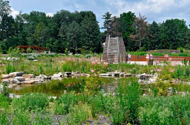 The Arbretum at Penn State opens 3-acre pollinator and bird garden ...